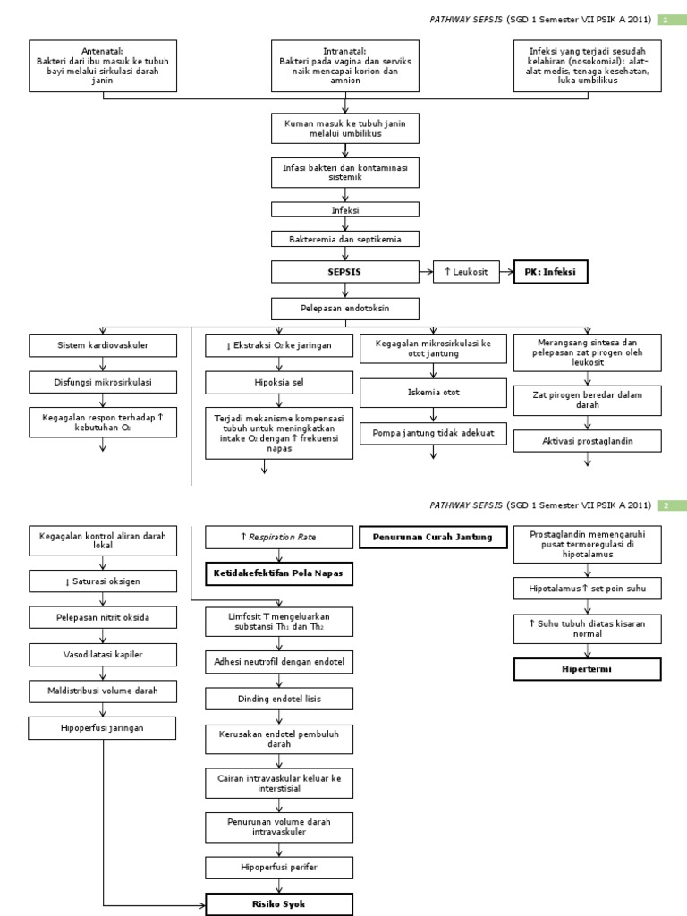 WOC Pathway Sepsis PDF | PDF