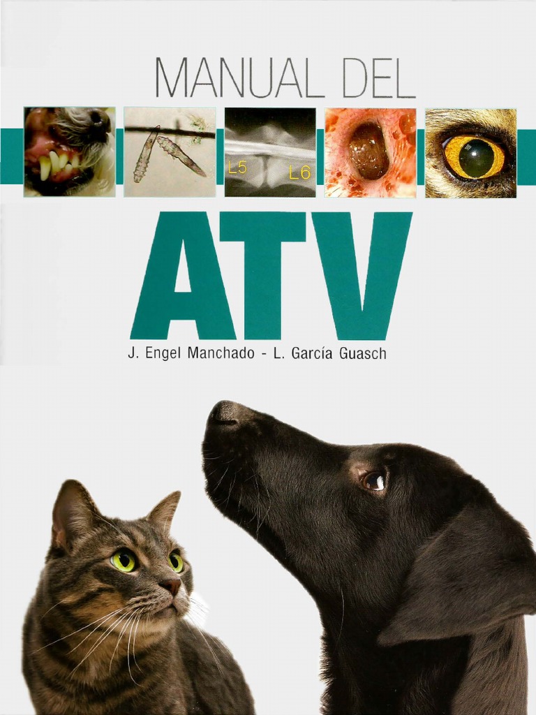 00-Manual Del ATV - Portada PDF | PDF