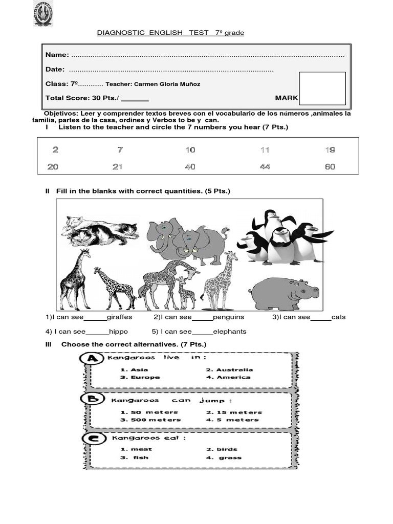 Diagnostic English Test 7º Grade | PDF