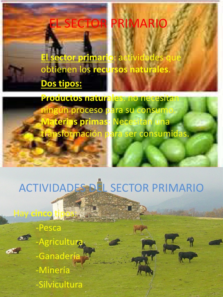 El Sector Primario