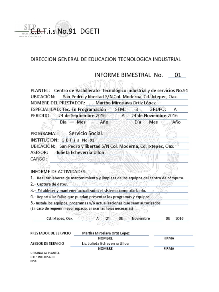 Reporte Bimestral | Descargar gratis PDF | Informática y tecnología de la información | Business