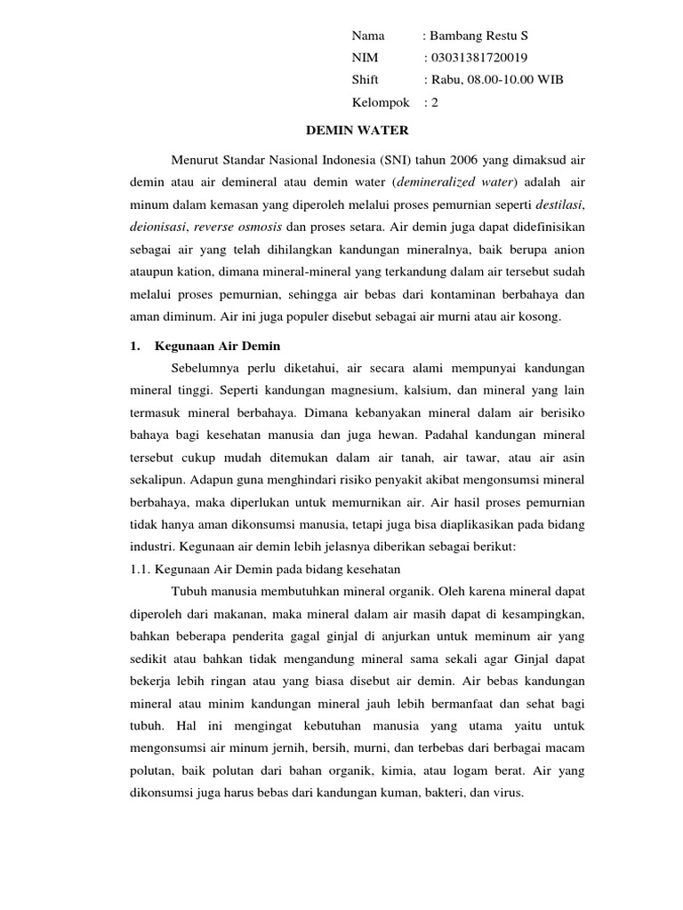 Demin Water | PDF