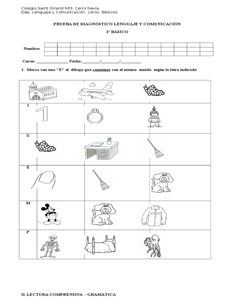 Prueba Diagnóstica Lenguaje 1º Básico | PDF