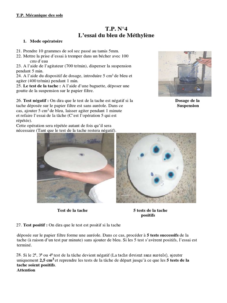 L'Essai Du Bleu de Méthylène | PDF | La nature