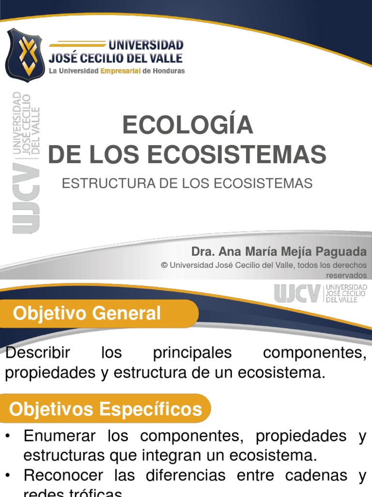 Ecologia de Los Ecosistemas (Estructura) PDF | PDF | Ecosistema | Red alimentaria