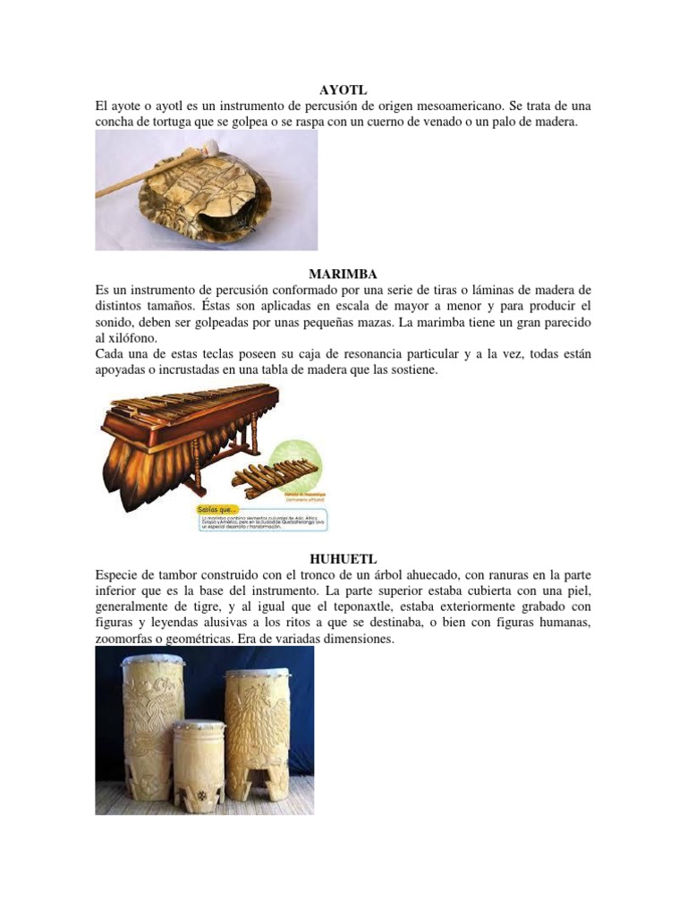 AYOTL | PDF | Instrumentos musicales | Entretenimiento (general)