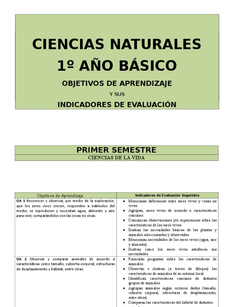 1º Básico CIENCIAS | PDF | Plantas | Dom
