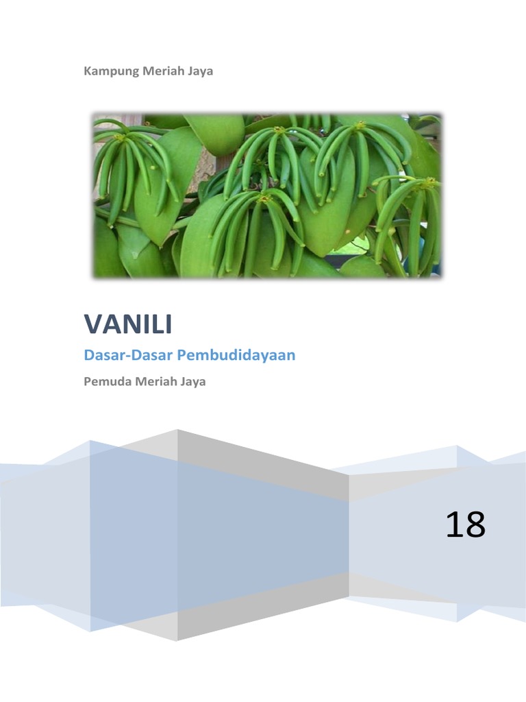 Makalah Budidaya Vanili | PDF