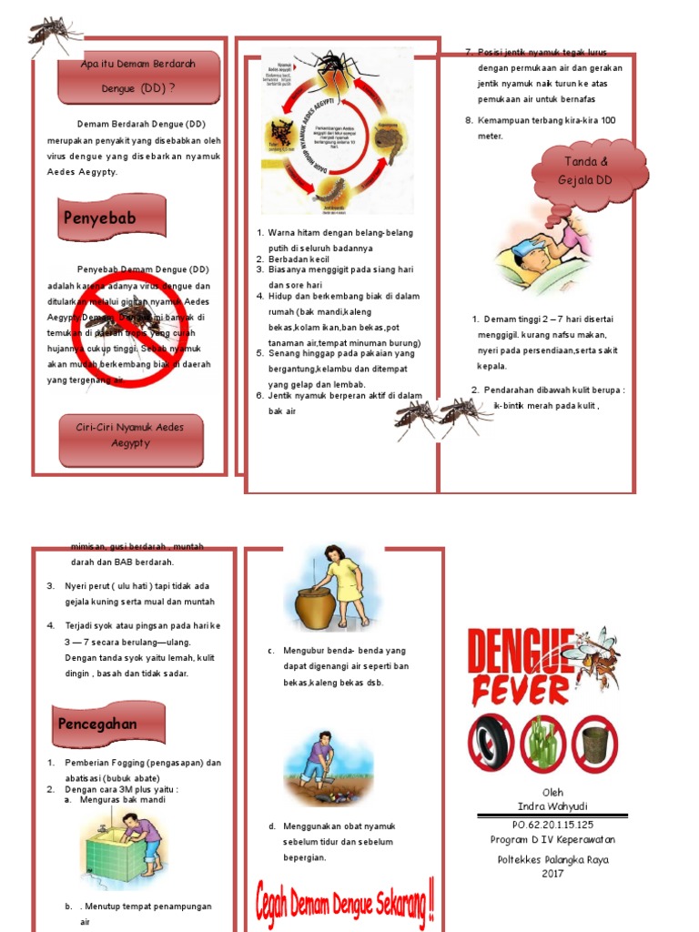 Leaflet Demam Dengue | PDF