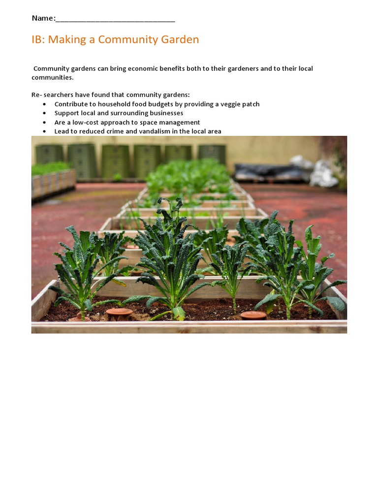 IB: Making A Community Garden: Name | PDF | Teaching Mathematics | Nature