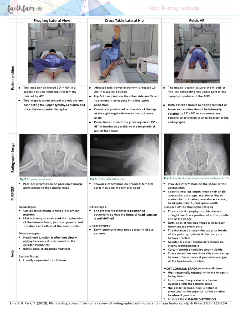 X-Ray Views Hip | PDF | Hip | Human Leg