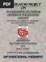 Drug Abuse Project Report For Class 12 by Devansh Yadav | PDF ...