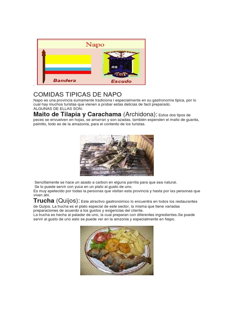 Comidas Tipicas de Napo | PDF | Cocina | Comida y bebida
