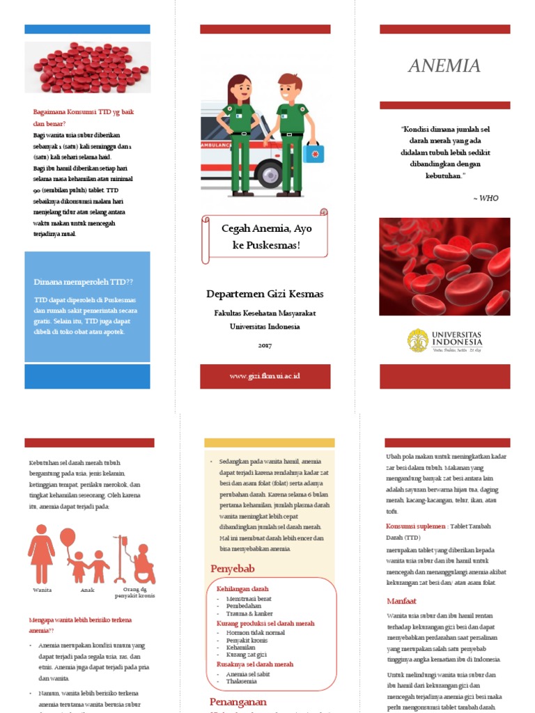 Leaflet Anemia TTD | PDF