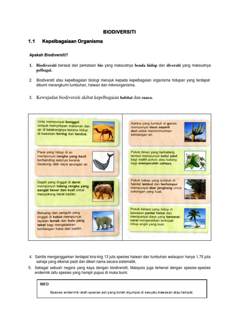 Form 2 Science | PDF