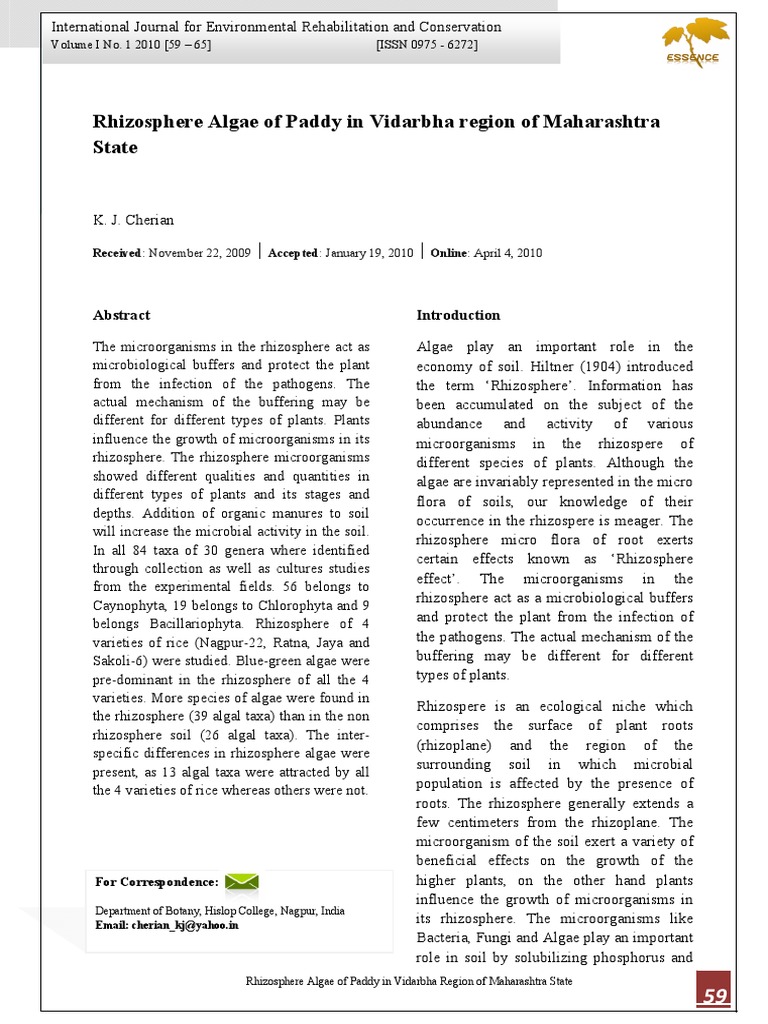 Rhizosphere Algae of Paddy in Vidarbha Region of Maharashtra State ...