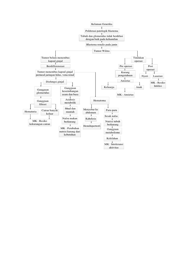 Woc Tumor Wilms | PDF