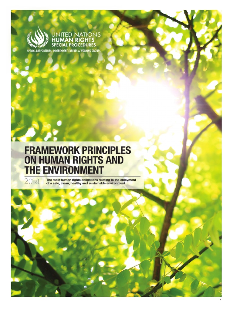 Framework Principles User Friendly Version | PDF | Human Rights ...