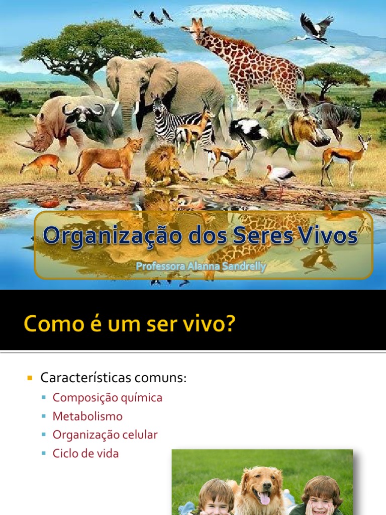 Como São Os Seres Vivos | Organelo | Célula (Biologia)