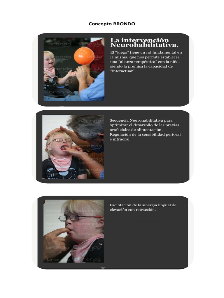 Concepto BRONDO | PDF