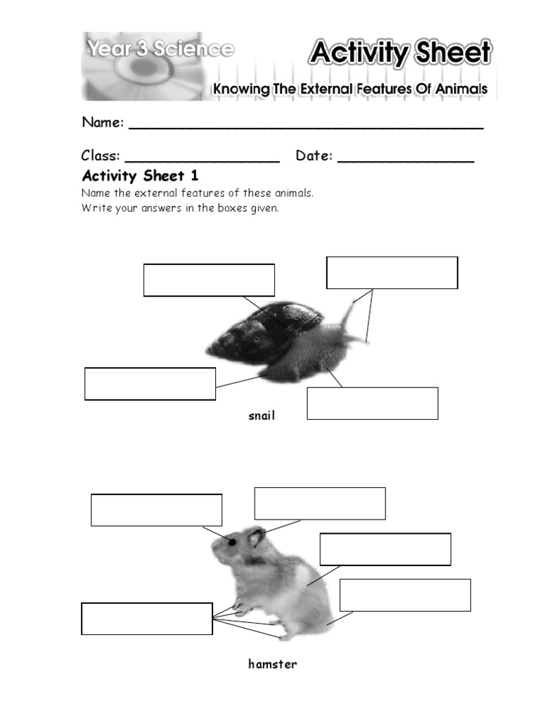 Name: - Class: - Date | PDF