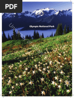 Desert Exile: The Uprooting of A Japanese American Family | PDF ...