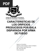 Anillos de Contusión y Enjugamiento | PDF | Mecanica clasica | Cambio