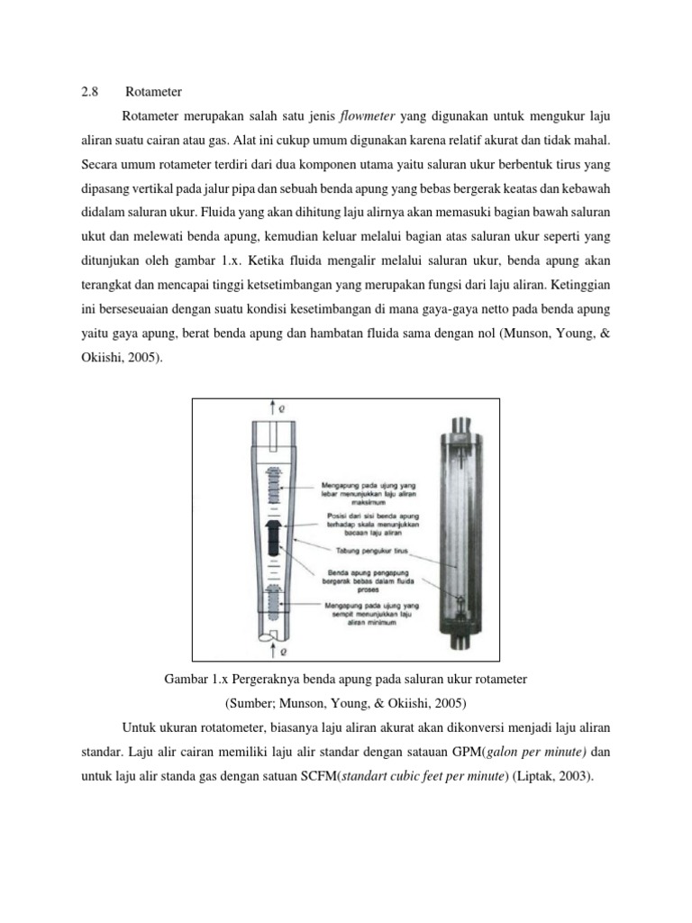 Rotameter Manometer | PDF