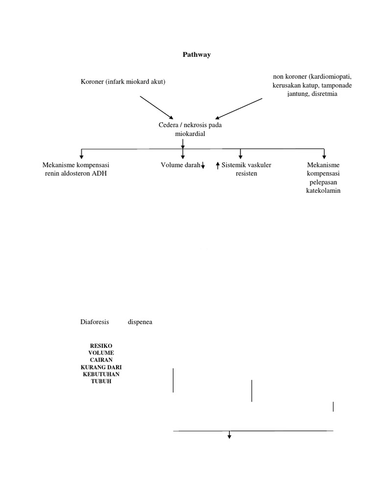 Pathway Syok Kardiogenik Contoh | PDF