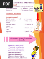 Protocolo Toma de Ecg | PDF | Electrocardiografia | Medicina Interna