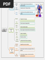 Efecto Poseiro | PDF | Placenta | Feto