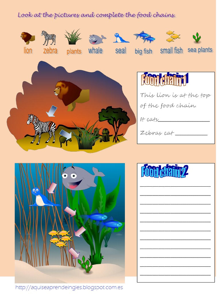 Food Chain Pdf Cooking Food Wine