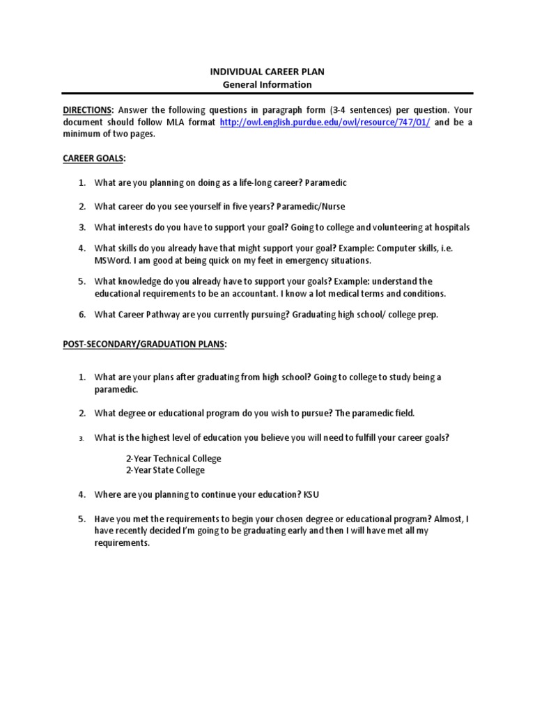 Individual Career Plan | PDF