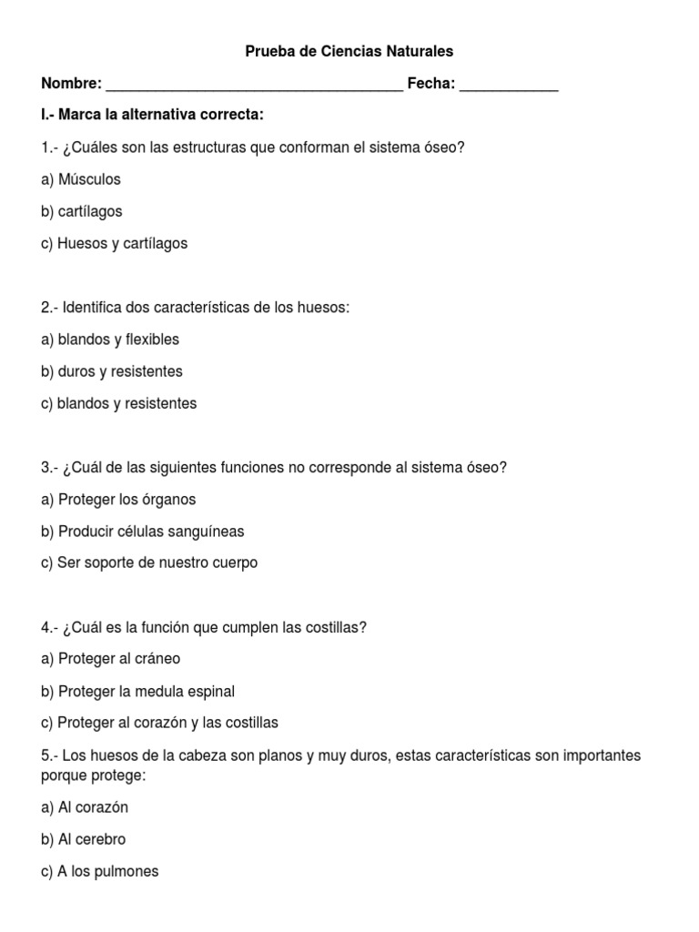 Prueba sobre el Sistema Óseo para Niños | PDF | Hueso | Articulación
