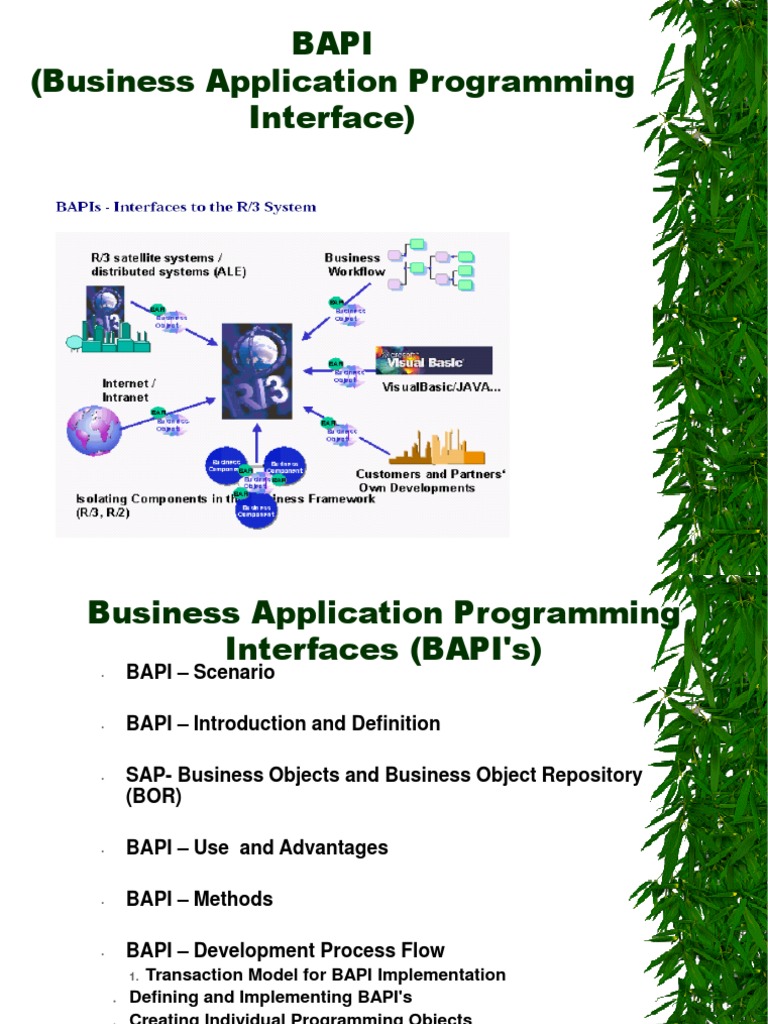 Bapi Business Application Programming Interface Pdf Object Computer Science Method
