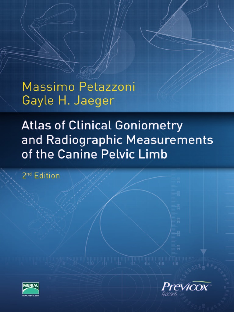Atlas Measurements Petazzoni Jaeger | PDF | Anatomical Terms Of ...