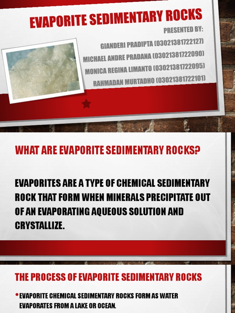Evaporite Sedimentary Rocks | Download Free PDF | Gypsum | Minerals