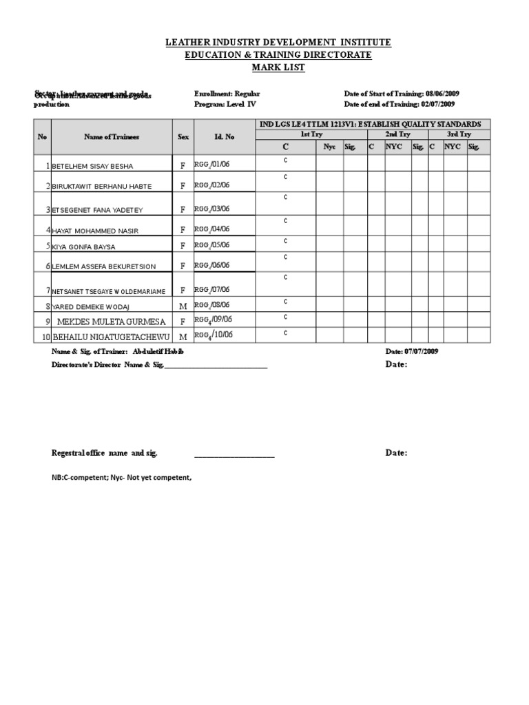 Establish Quality Standards Grade Report 2009 Level IV | PDF ...
