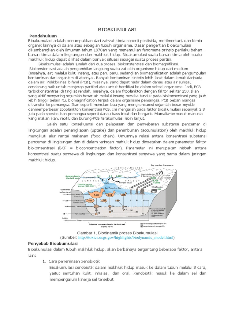 BIOAKUMULASI | PDF | Pengembangan Diri | Sains & Matematika
