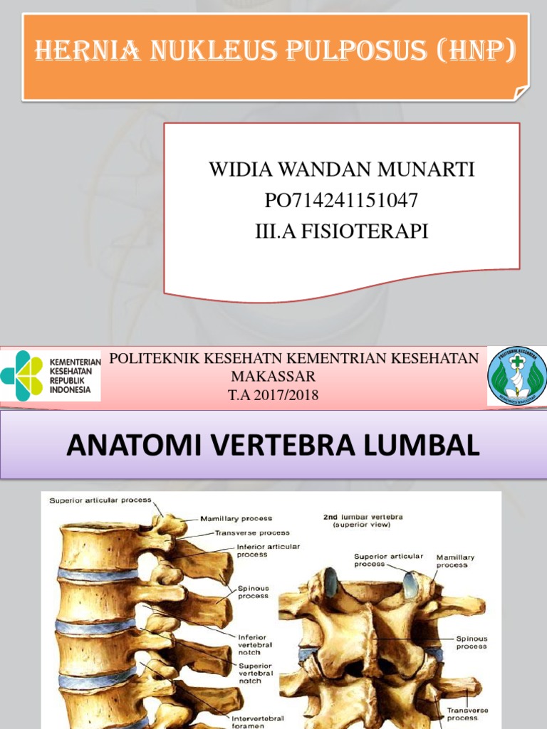 Anatomi Dan Fisiologi HNP | PDF