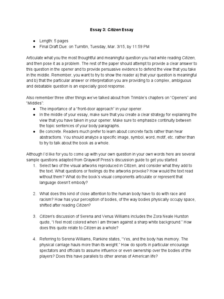 Essay 3 Prompt | PDF | Essays | Question