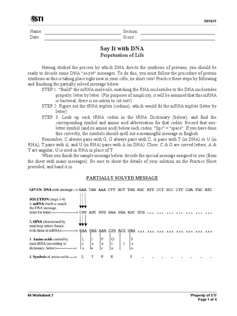 Dna And Rna Coding Worksheet