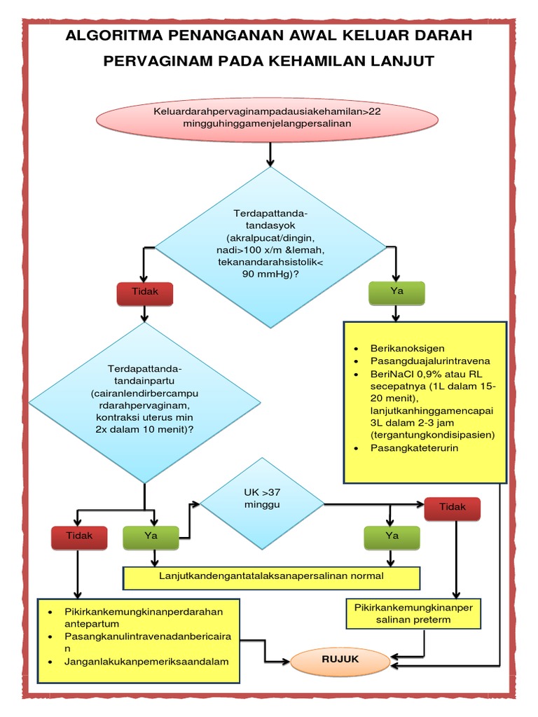 Algoritma Penanganan Perdarahan Kehamilan | PDF