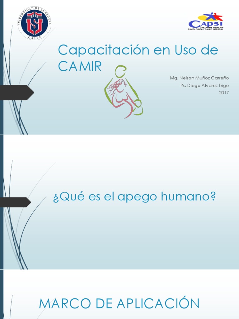 Aplicación de Camir 2017 | PDF | Teoría de apego | Desarrollo infantil