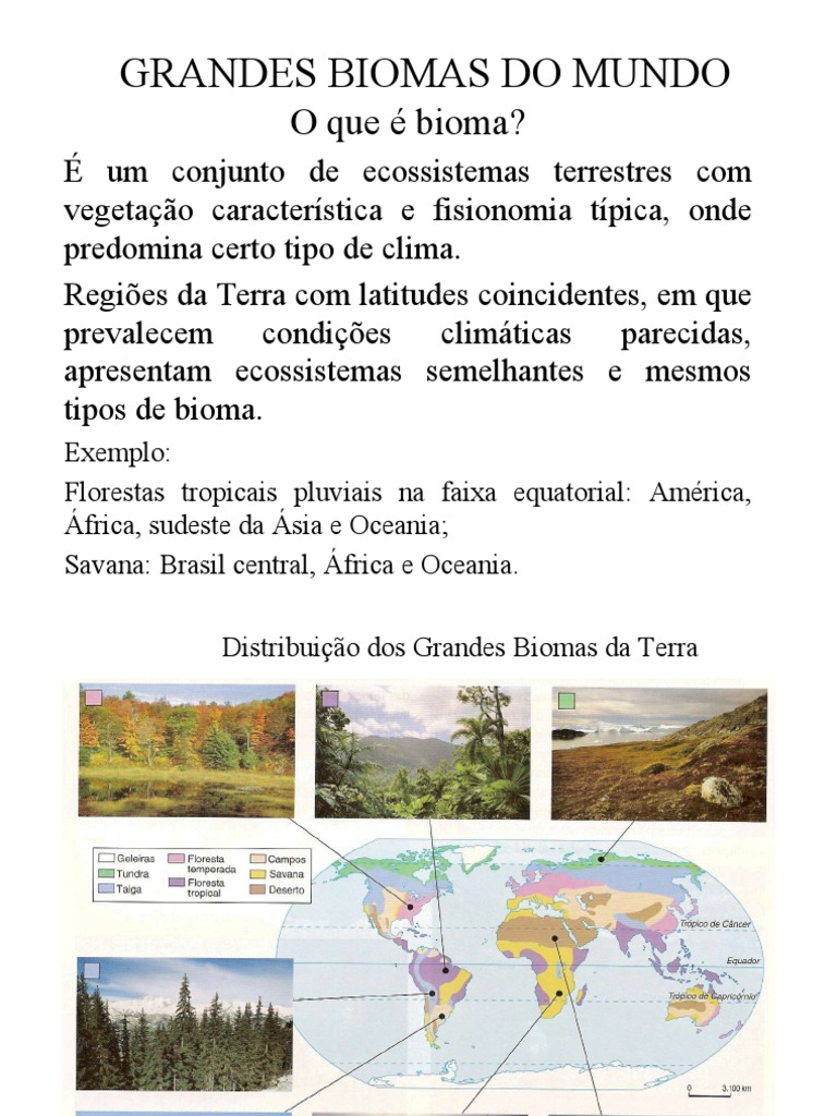 Grandes Biomas Do Mundo | Savana | Habitat