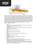 Teks Laporan Hasil Observasi Belalang Anggrek Kelompok 4 XB | PDF