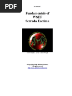 Inosanto Lacoste Kali System Overview | PDF | Spear | Dagger