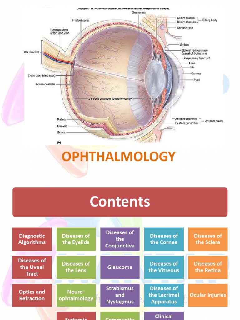 Ophthalmology | PDF