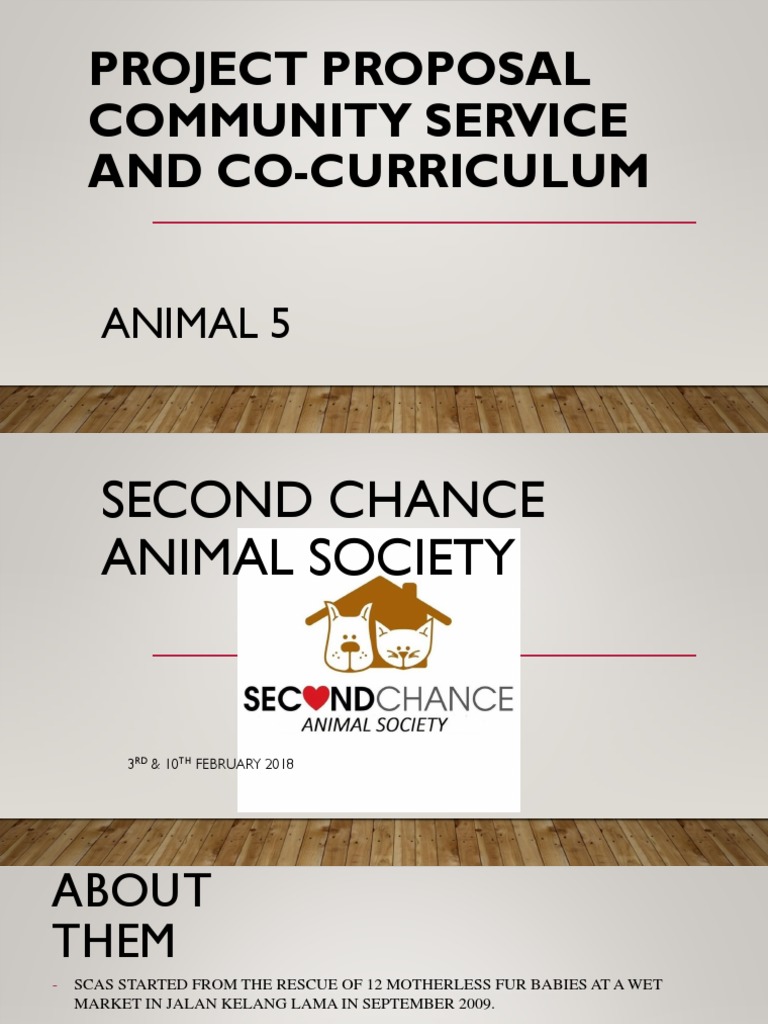 Project Proposal Community Service and Co-Curriculum: Animal 5 | PDF ...