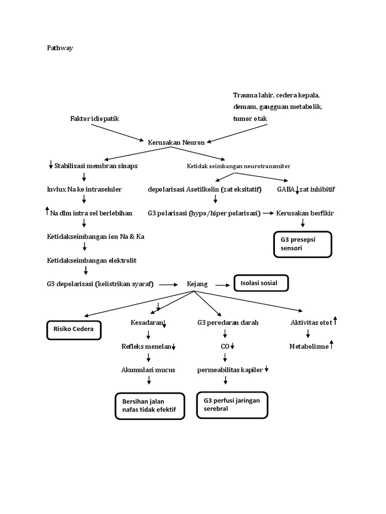 Pathway Epilepsi | PDF